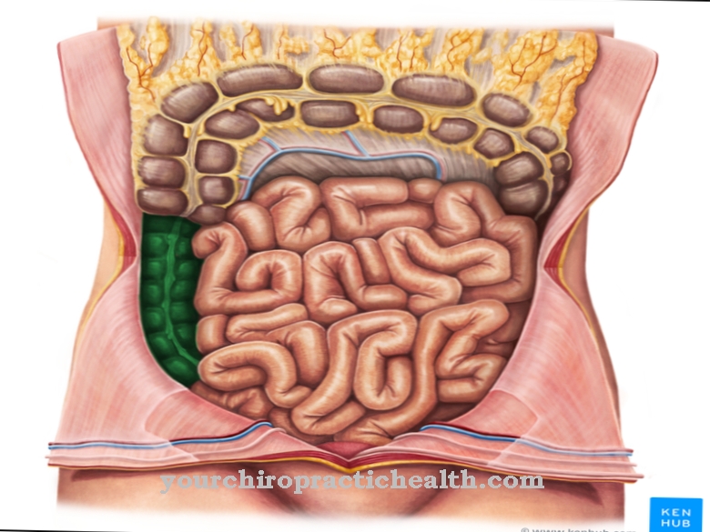 Jéjunum