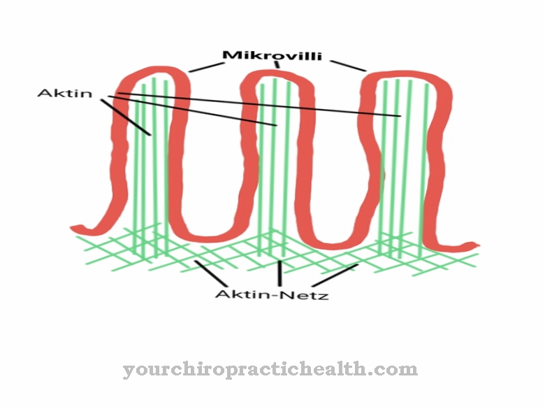 Microvilli