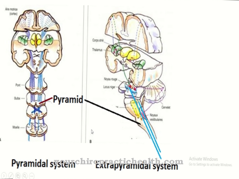 Pyramidal system