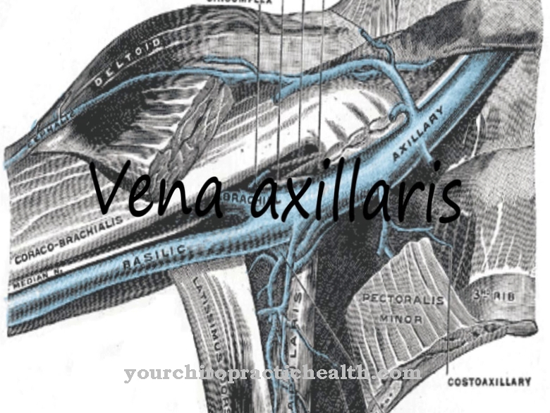 Veine axillaire